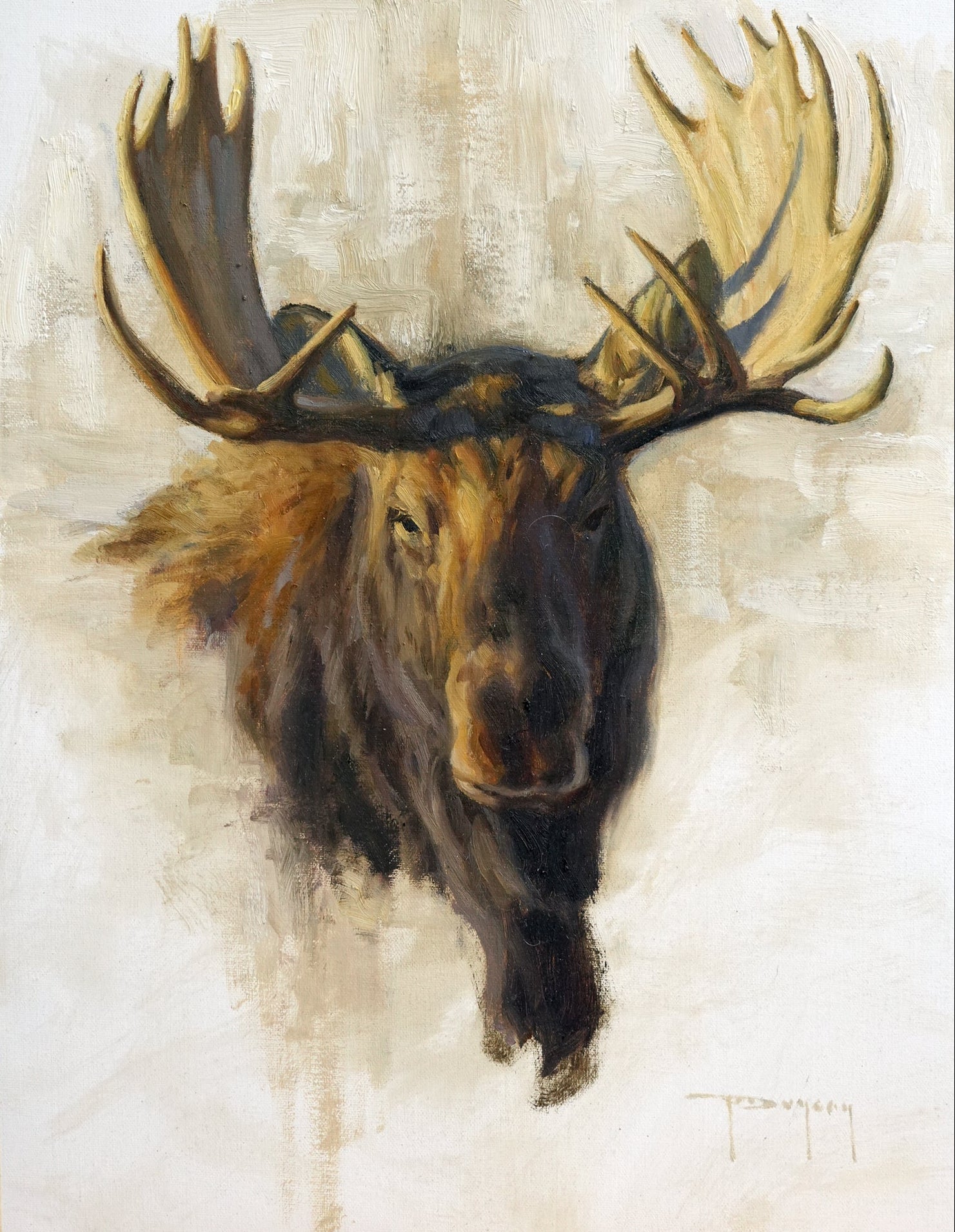 Robert Duncan - Moose Study – TRAILSIDE GALLERIES