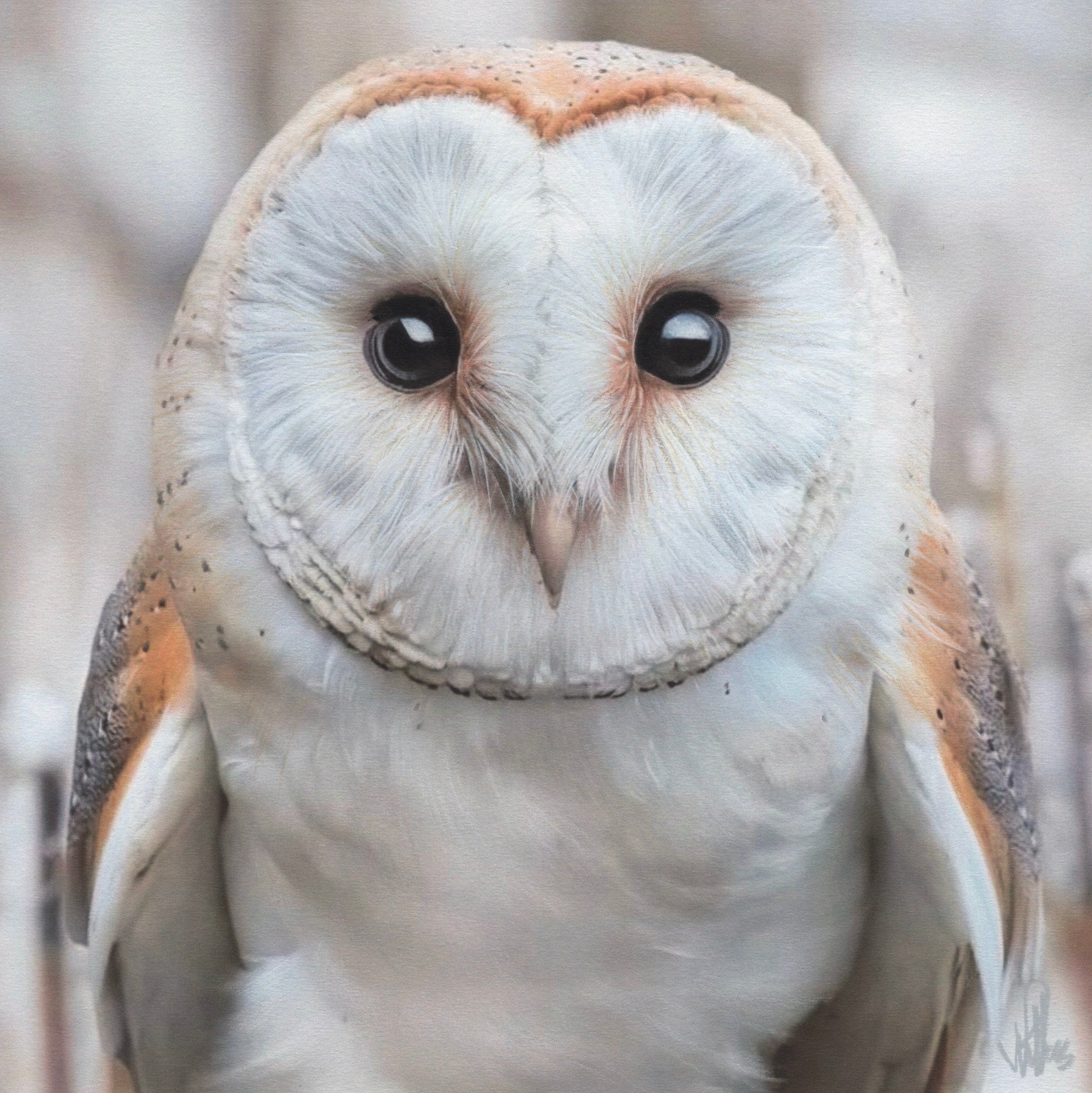 Animal Art – TRAILSIDE GALLERIES