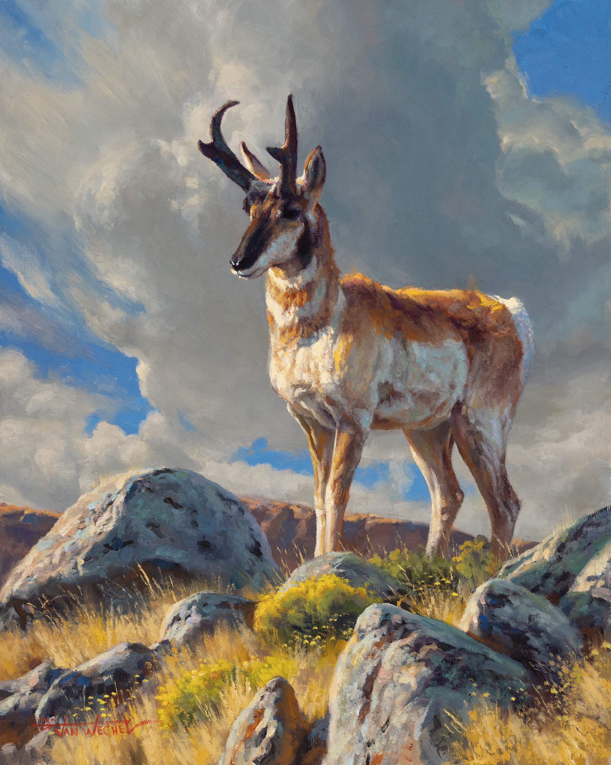 Dustin Van Wechel – TRAILSIDE GALLERIES