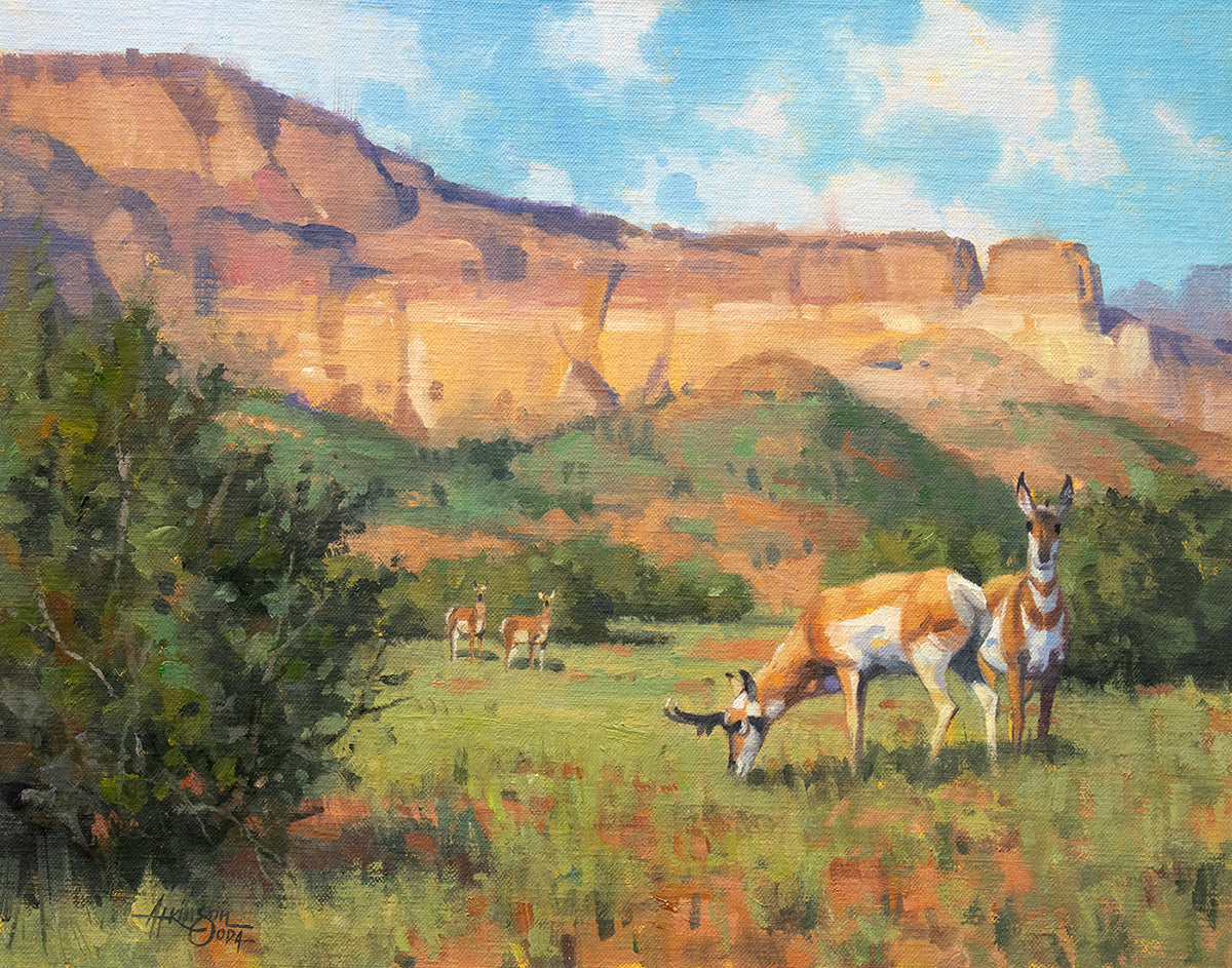 Steve Atkinson – TRAILSIDE GALLERIES