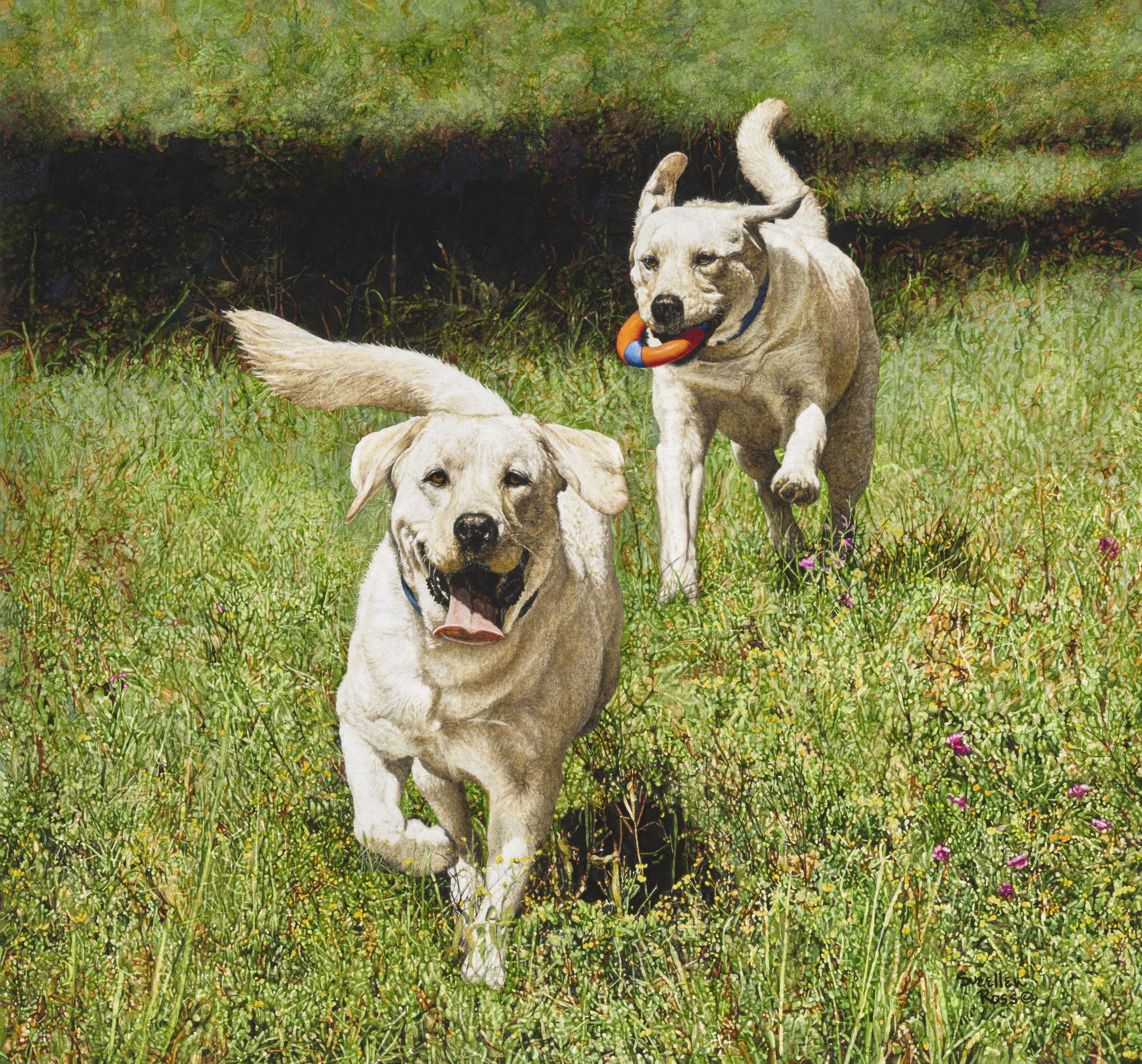 Sueellen Ross – TRAILSIDE GALLERIES