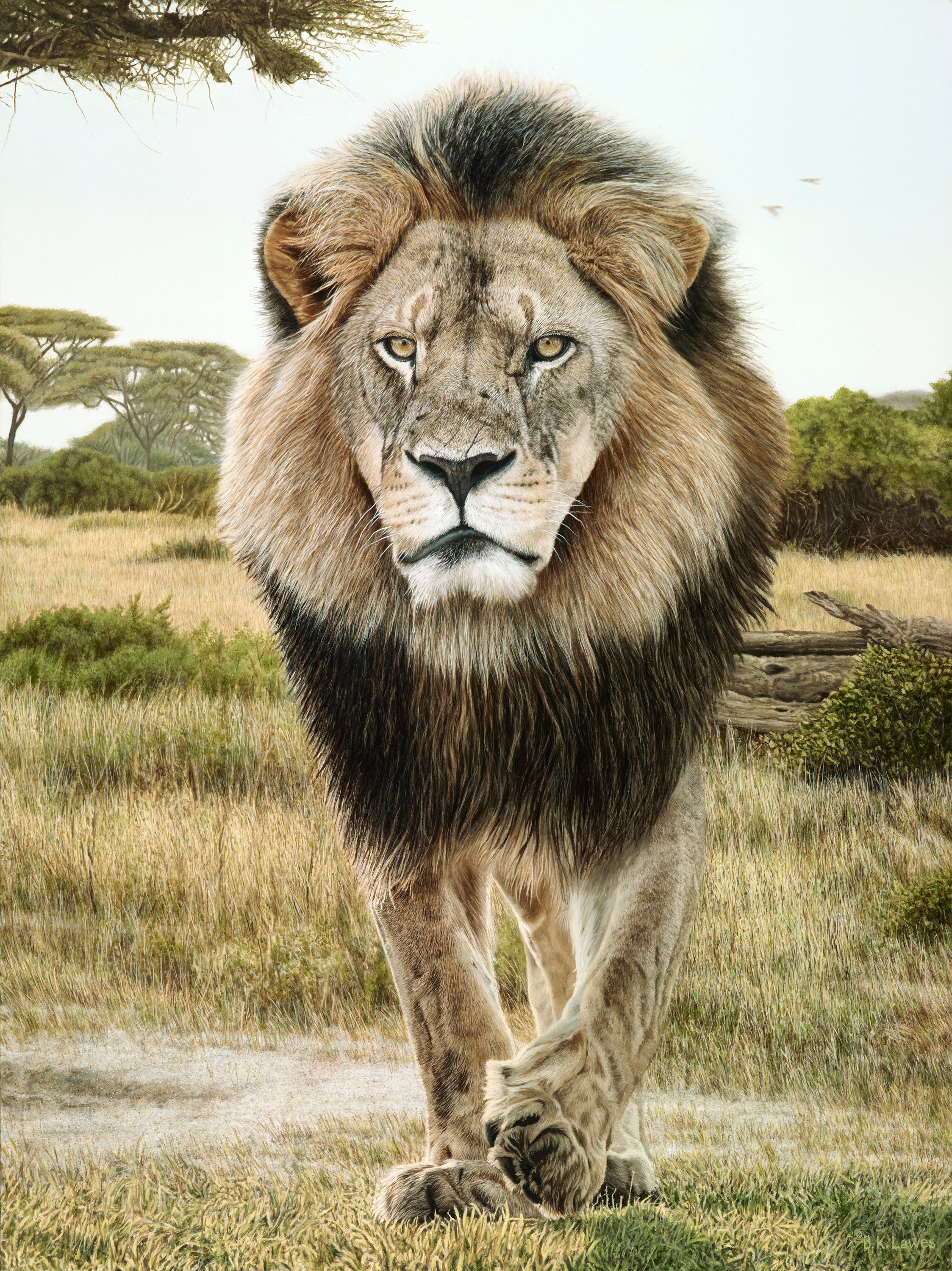 Bruce Lawes - I Am Cecil – TRAILSIDE GALLERIES
