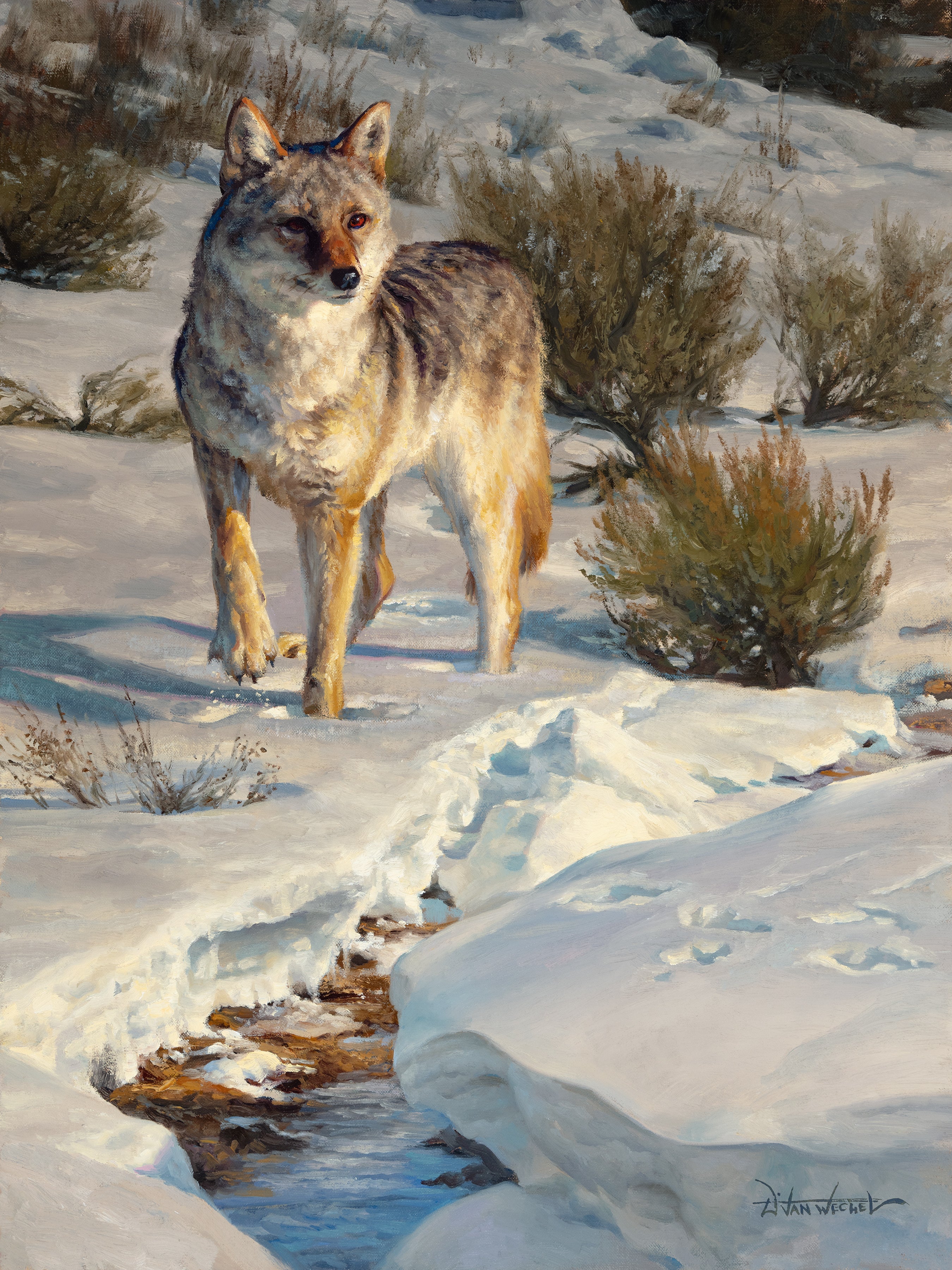 Dustin Van Wechel - Getting Mixed Signals – TRAILSIDE GALLERIES