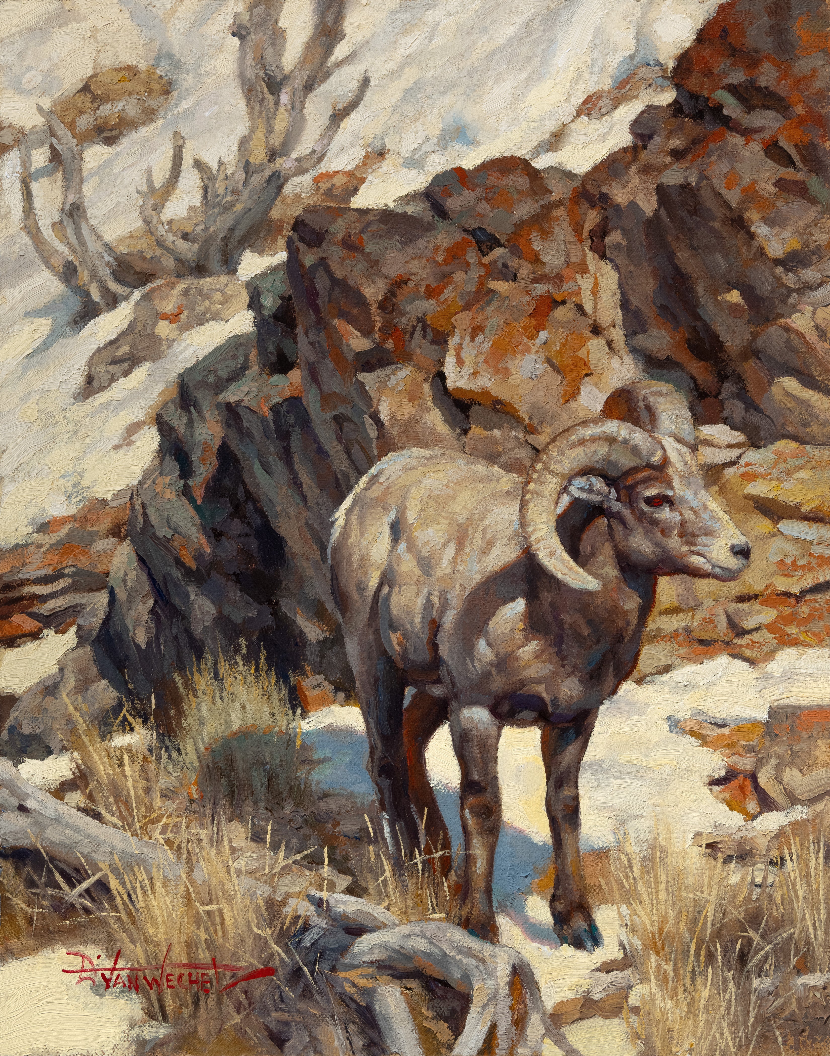 Dustin Van Wechel - High Country Bighorn – TRAILSIDE GALLERIES