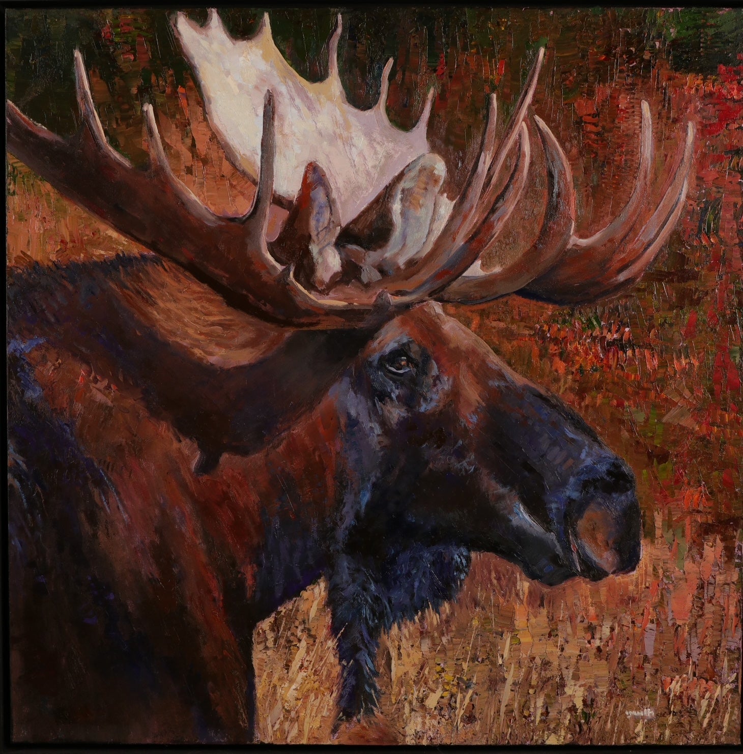 Garth Williams - Bull Moose – TRAILSIDE GALLERIES