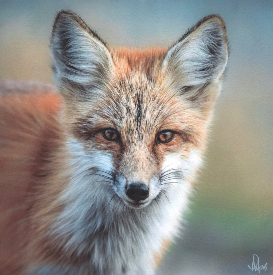 J.R. Hess - Inquisitive Enchantment – TRAILSIDE GALLERIES