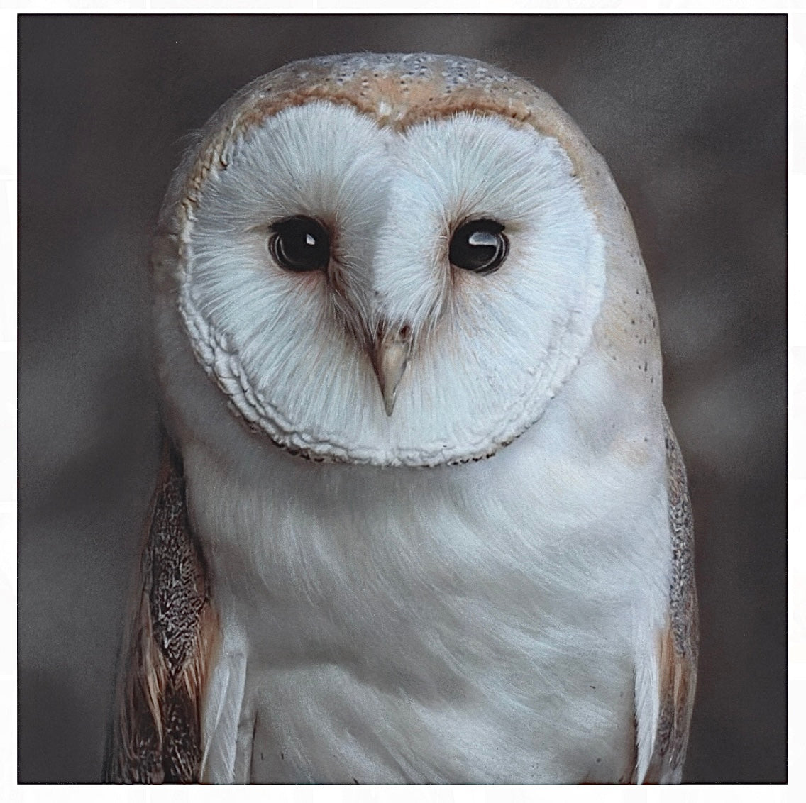 J.R. Hess - Just A Dream – TRAILSIDE GALLERIES