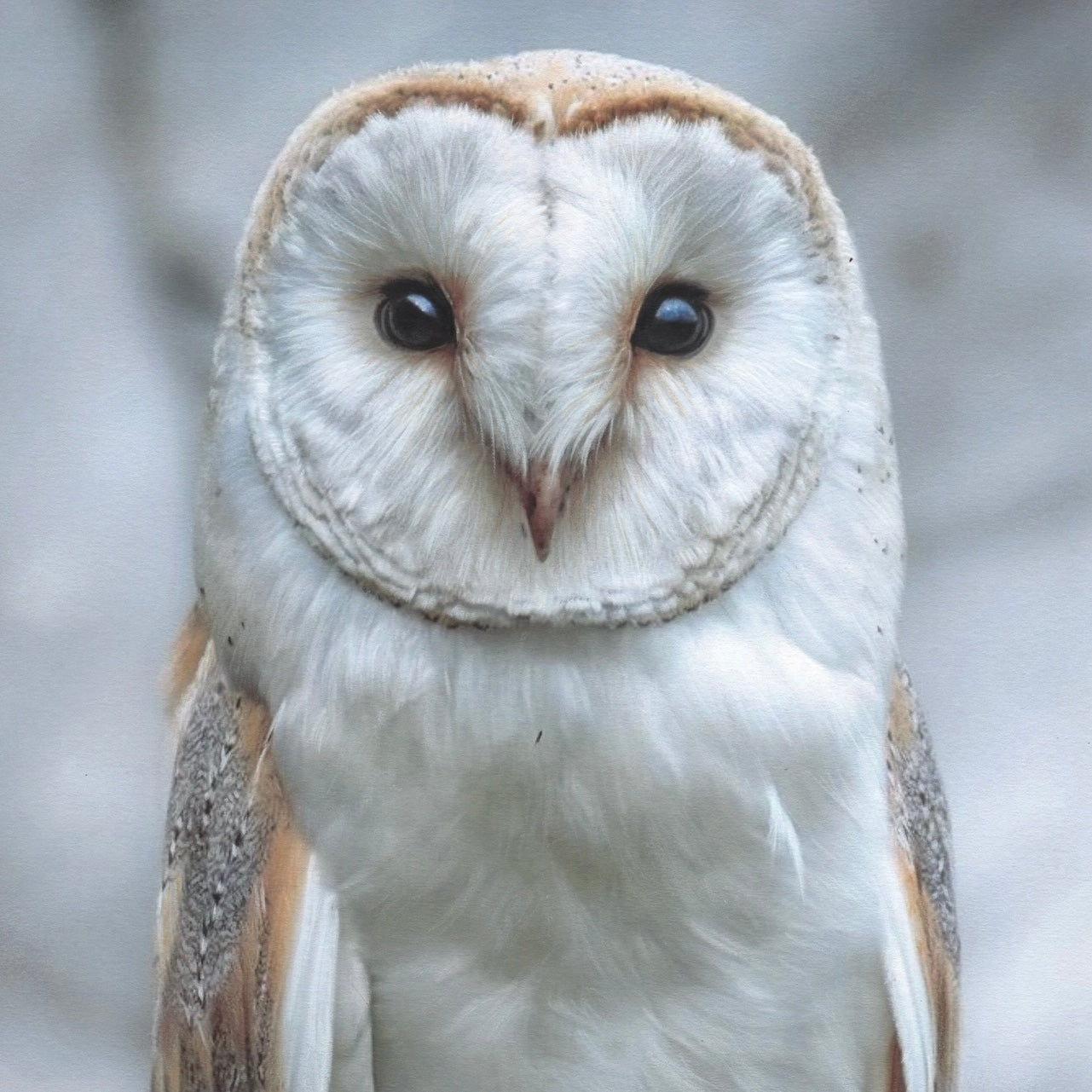 J.R. Hess - Winter's Watch – TRAILSIDE GALLERIES