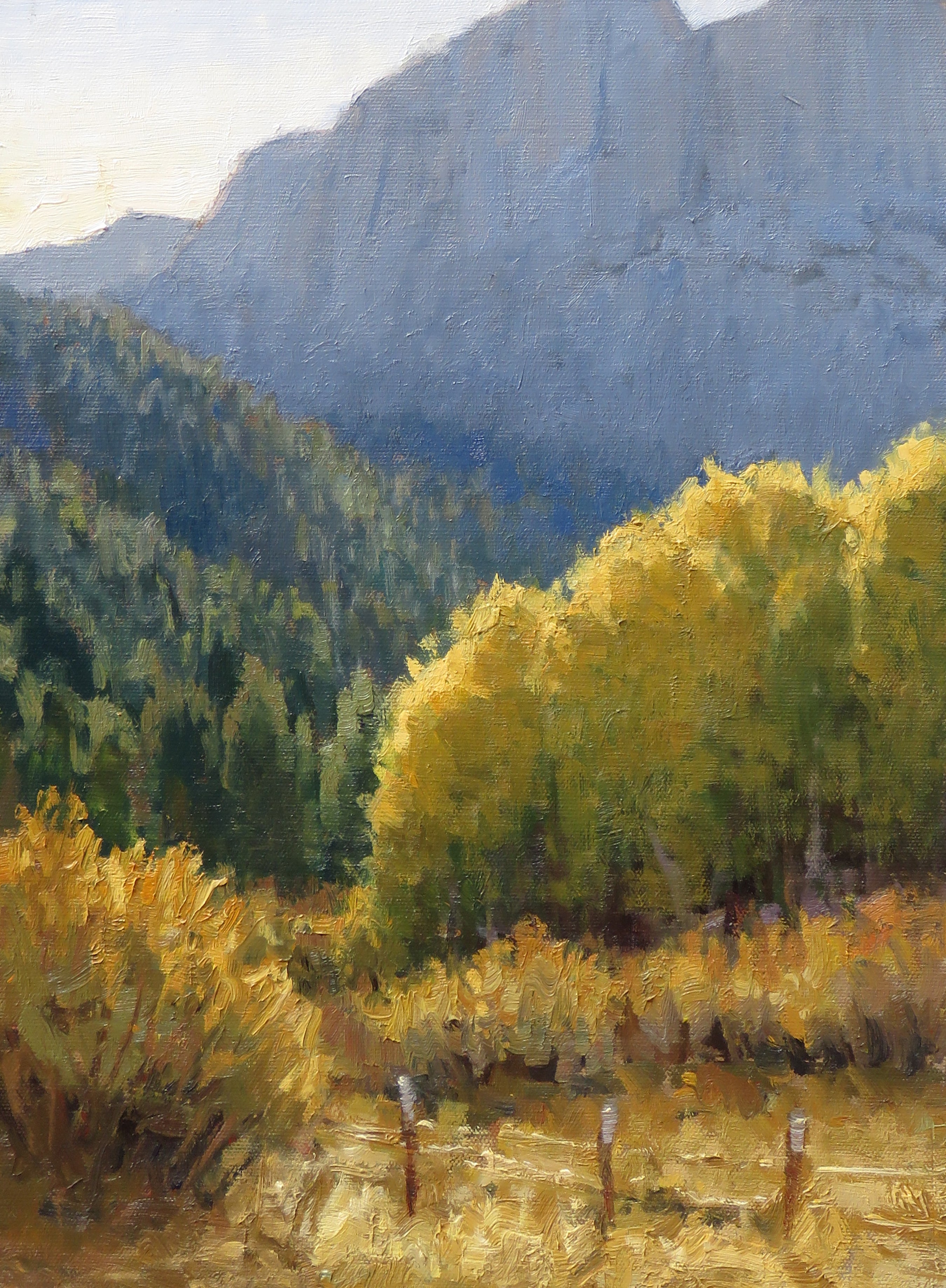 Kathleen Dunphy – TRAILSIDE GALLERIES