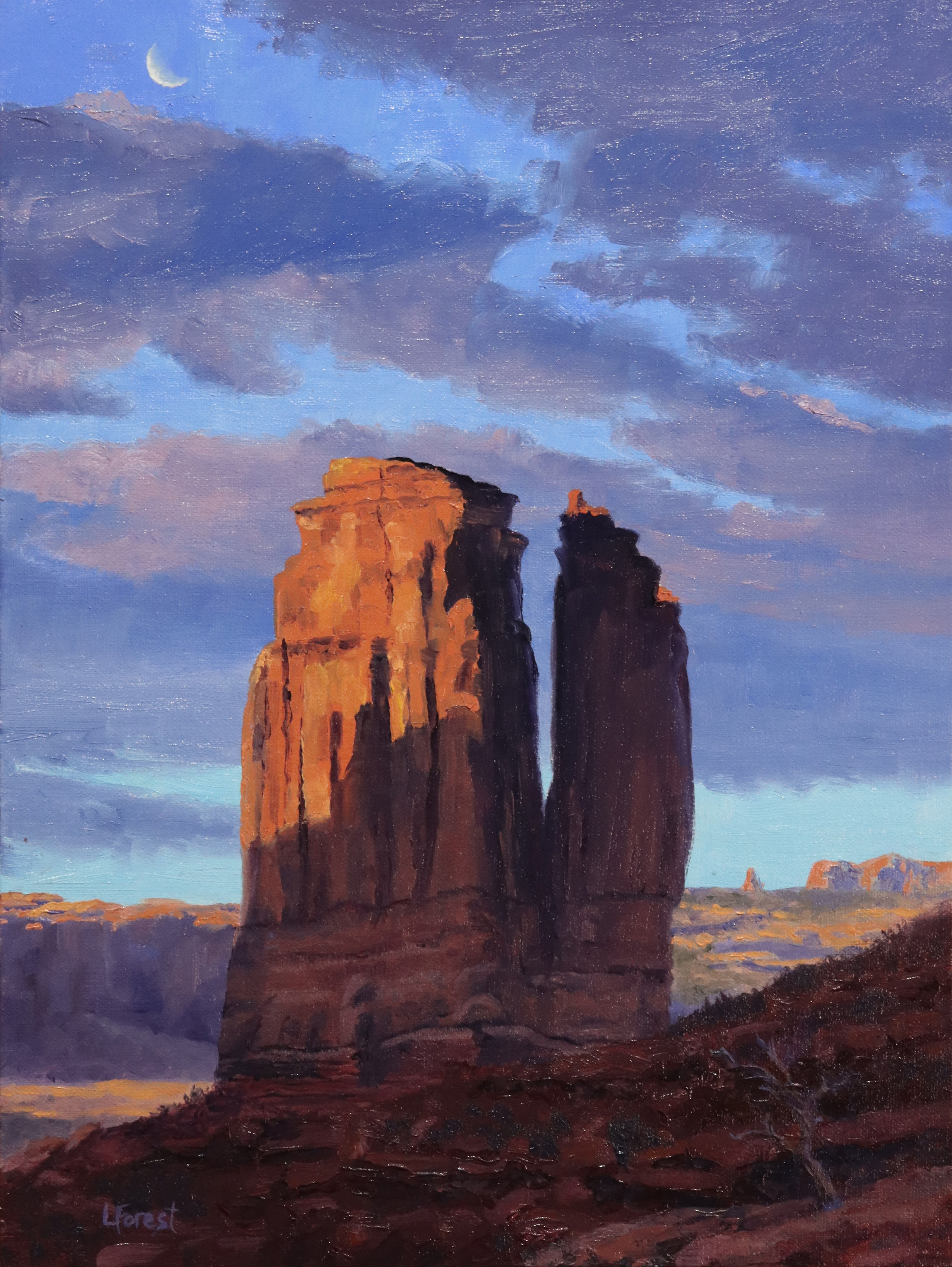 New Acquisitions – TRAILSIDE GALLERIES