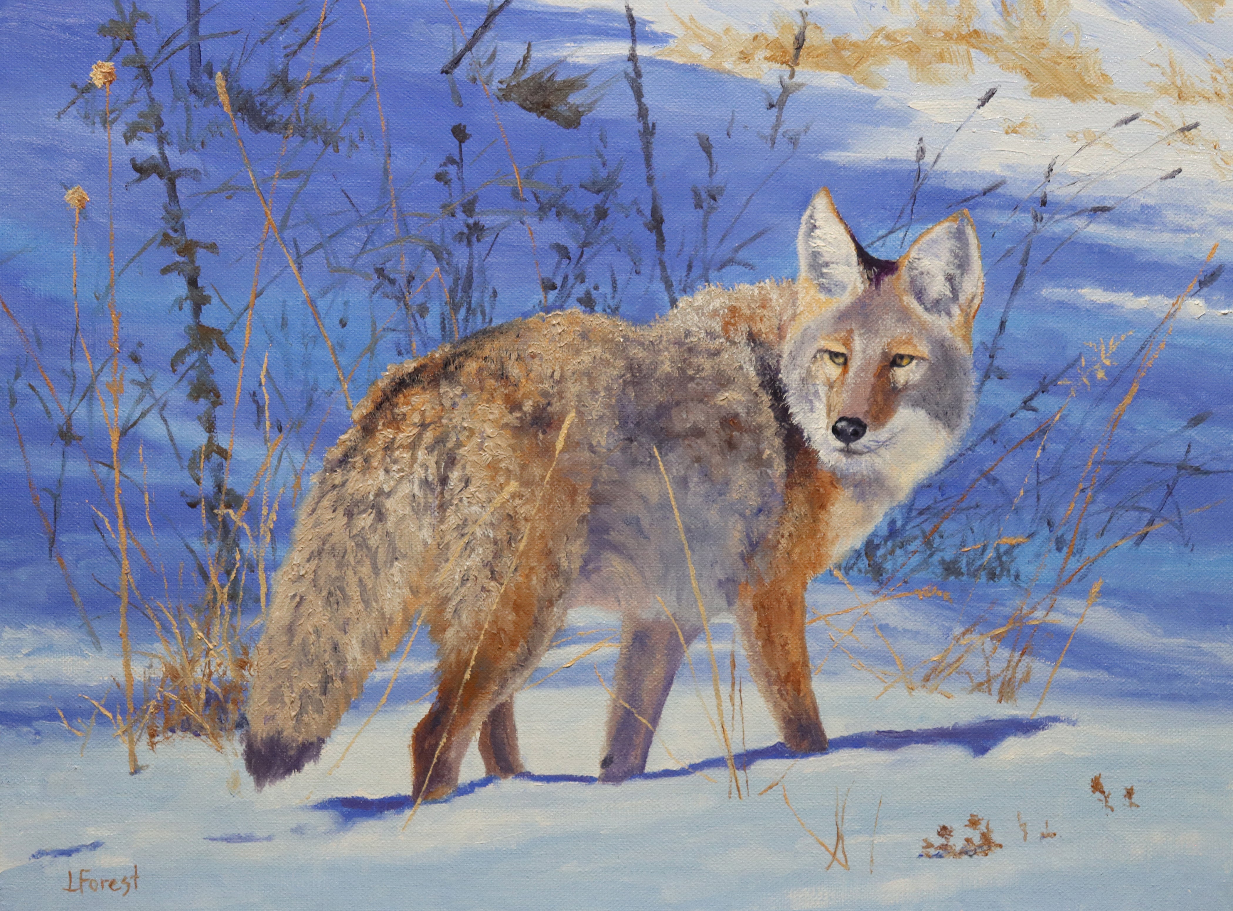 Lori Forest - Wiley – TRAILSIDE GALLERIES