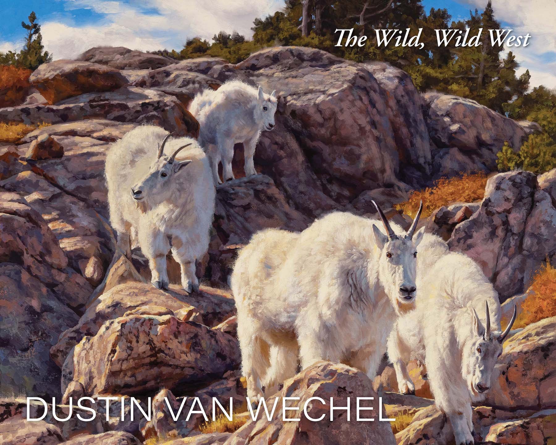 Trailside Galleries – TRAILSIDE GALLERIES