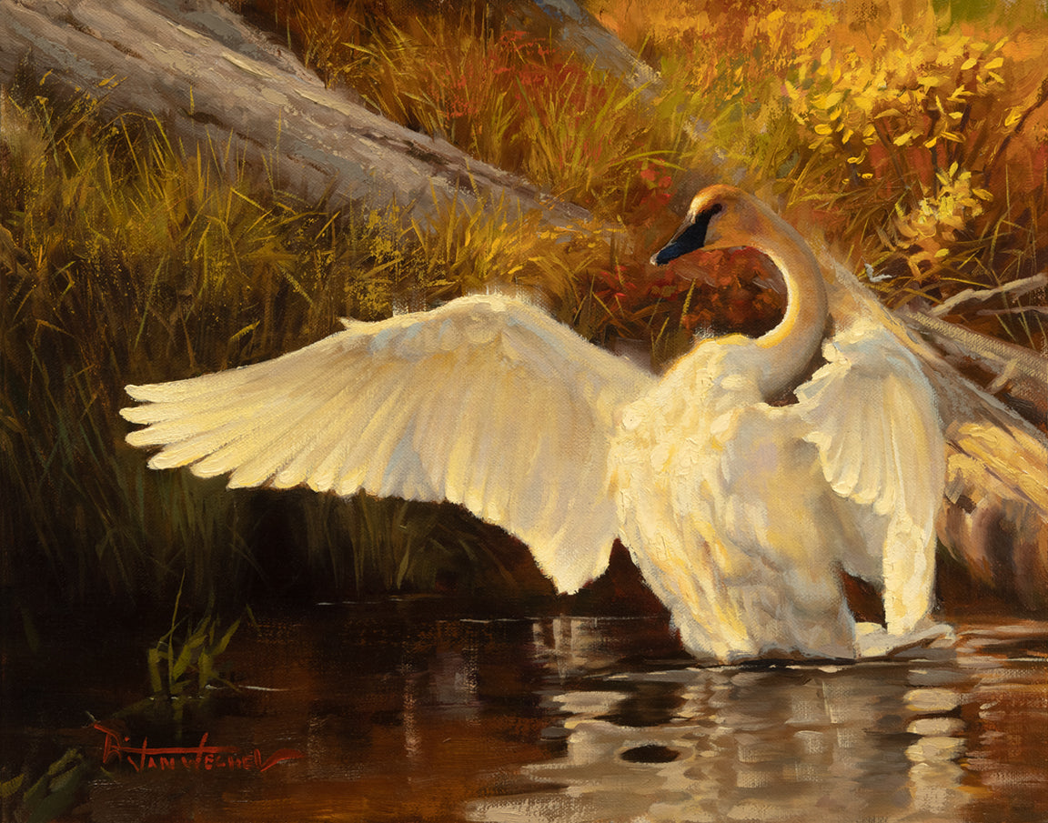 Dustin Van Wechel-A Good Morning Stretch – TRAILSIDE GALLERIES
