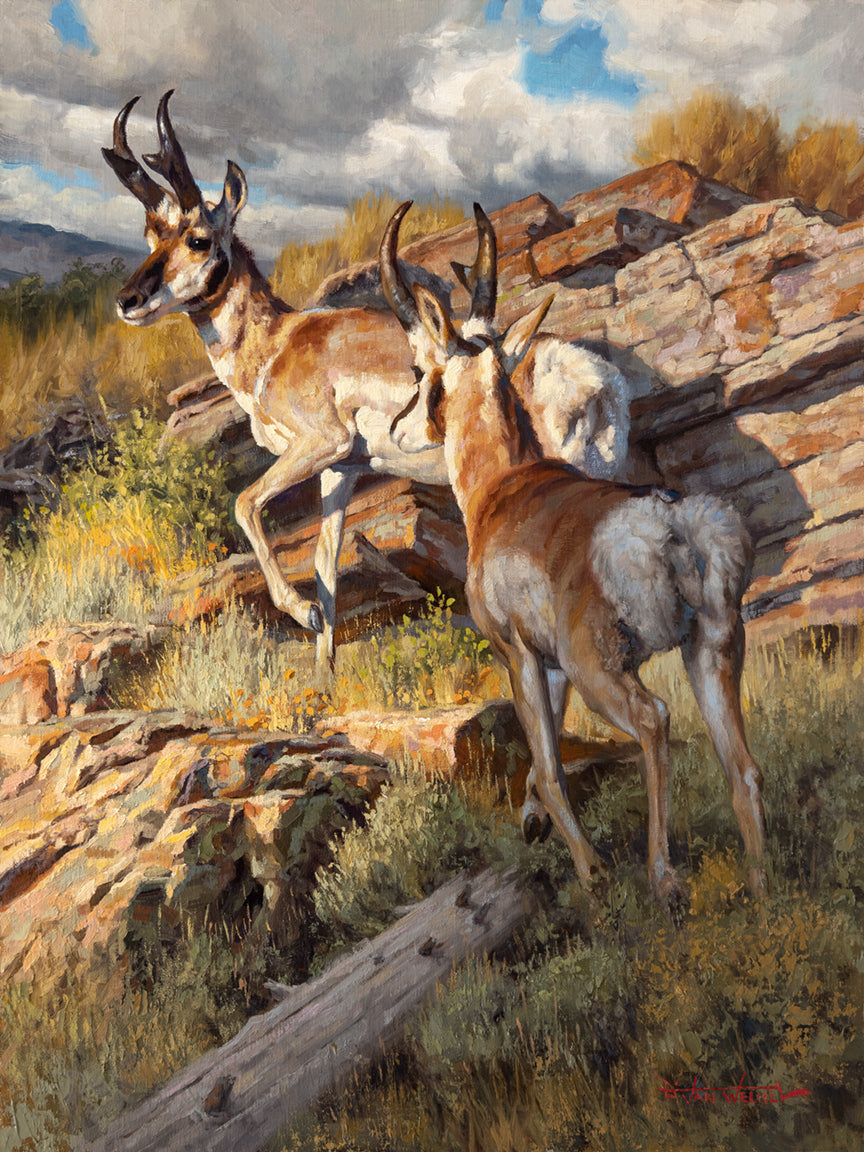 Dustin Van Wechel-The Buddy System – TRAILSIDE GALLERIES