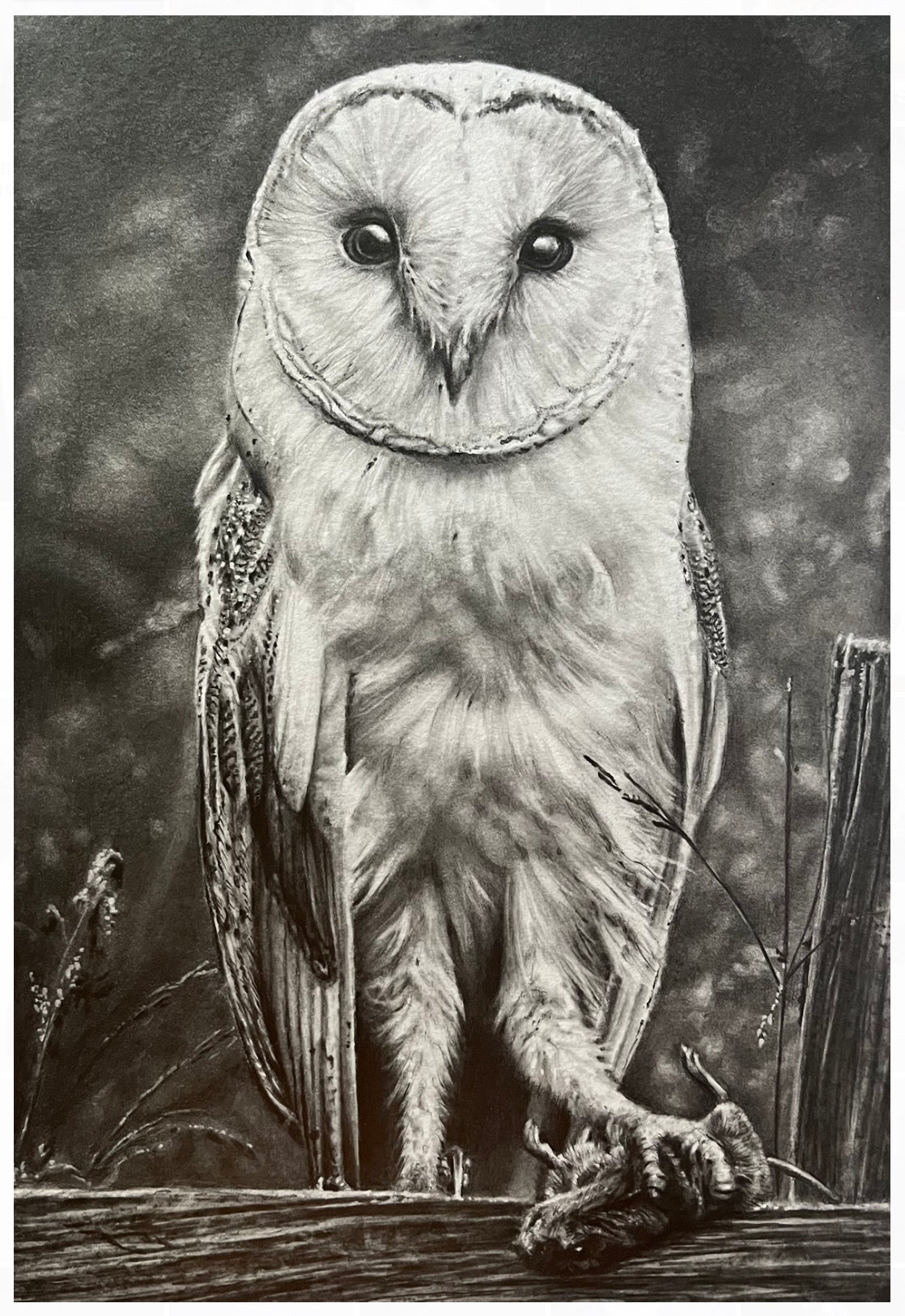 J.R. Hess - A Midnight Encounter – TRAILSIDE GALLERIES