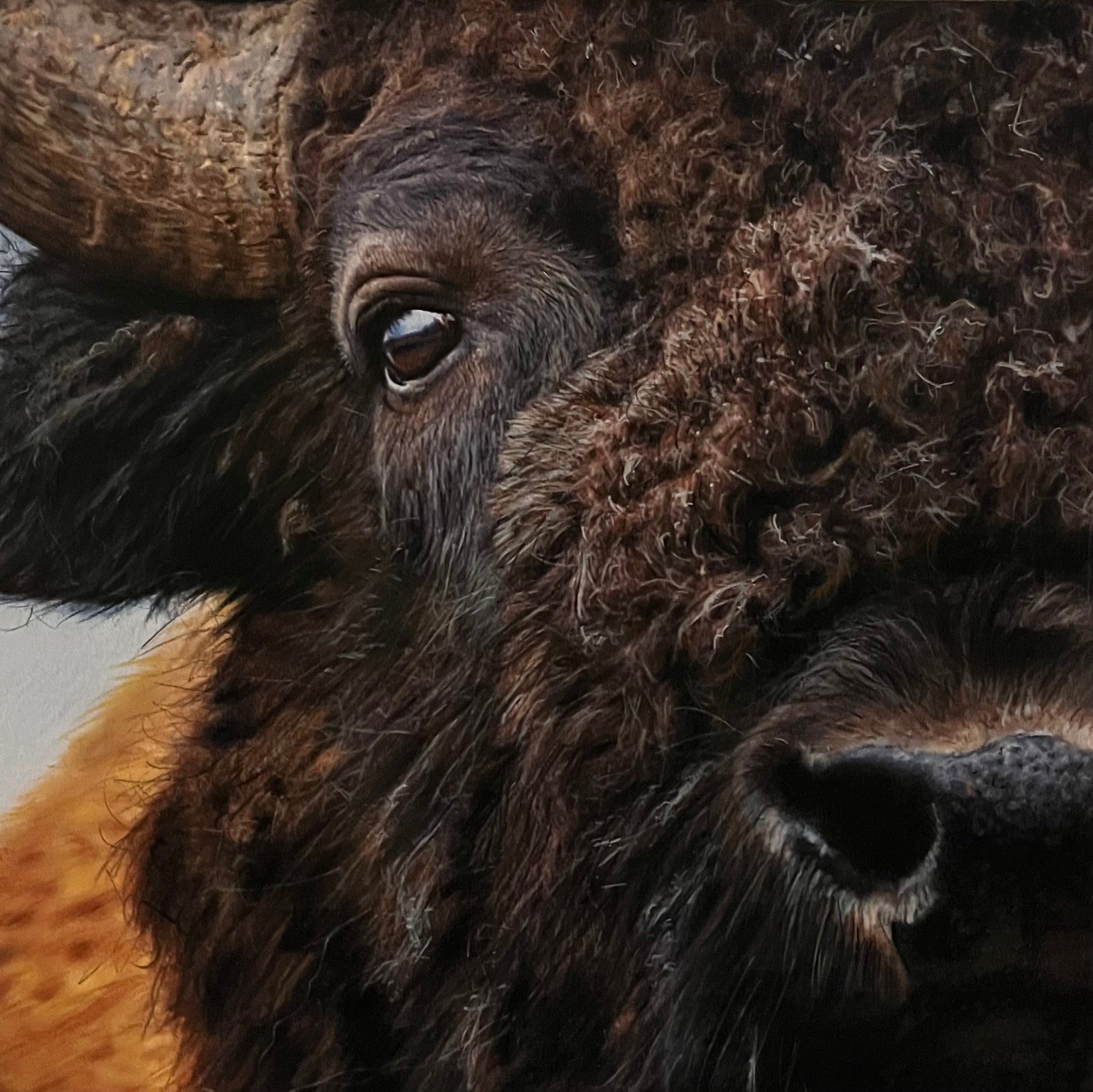 J.R. Hess - Bison Dance – TRAILSIDE GALLERIES