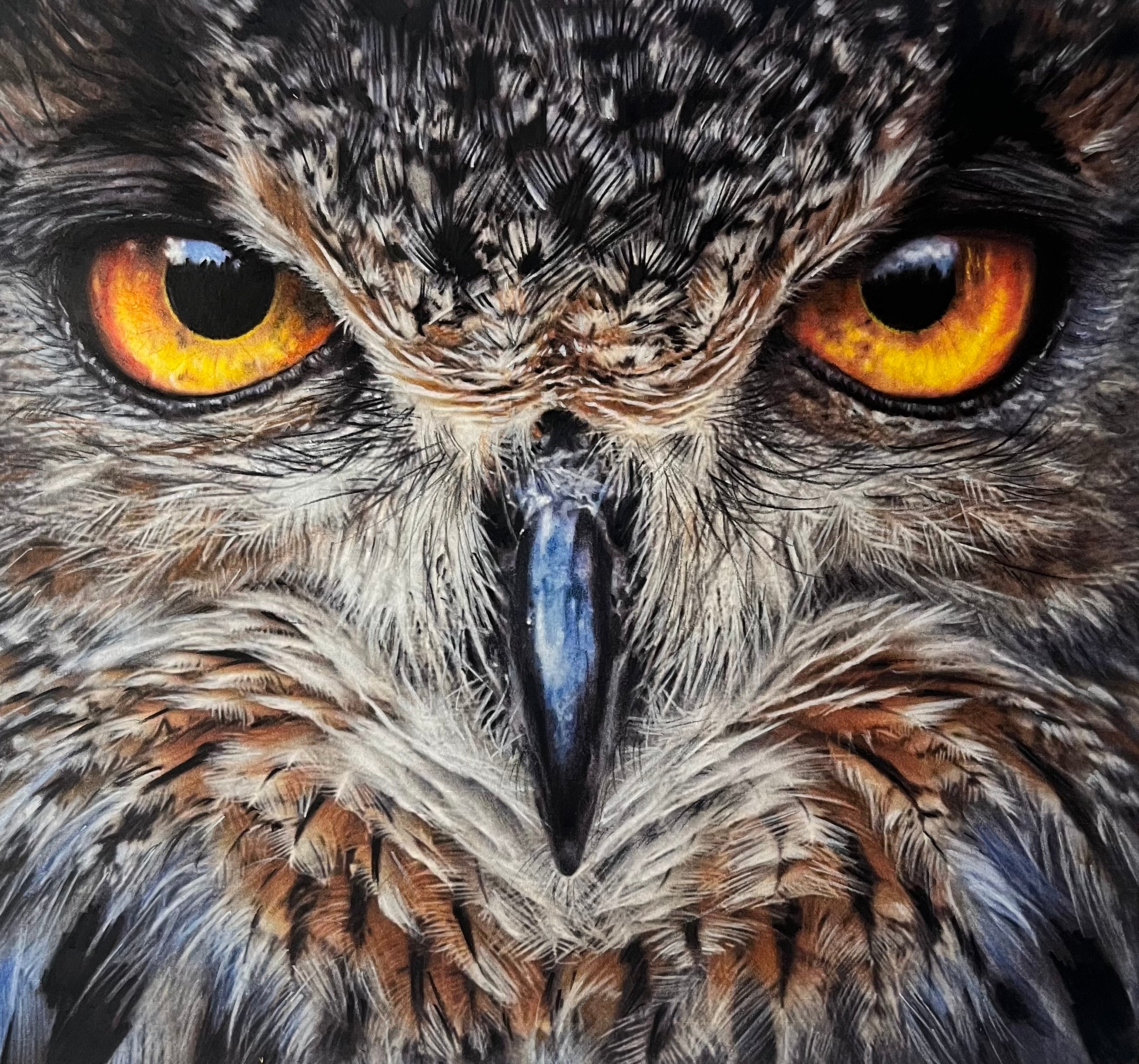 J.R. Hess - Fire in the Sky- Eagle Owl – TRAILSIDE GALLERIES