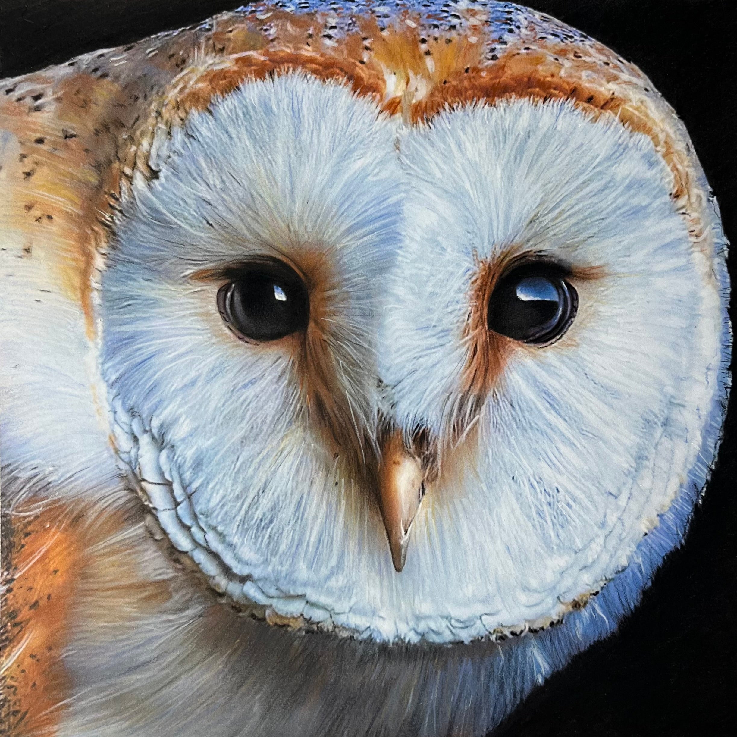 J.R. Hess - In Dreams - Barn Owl – TRAILSIDE GALLERIES