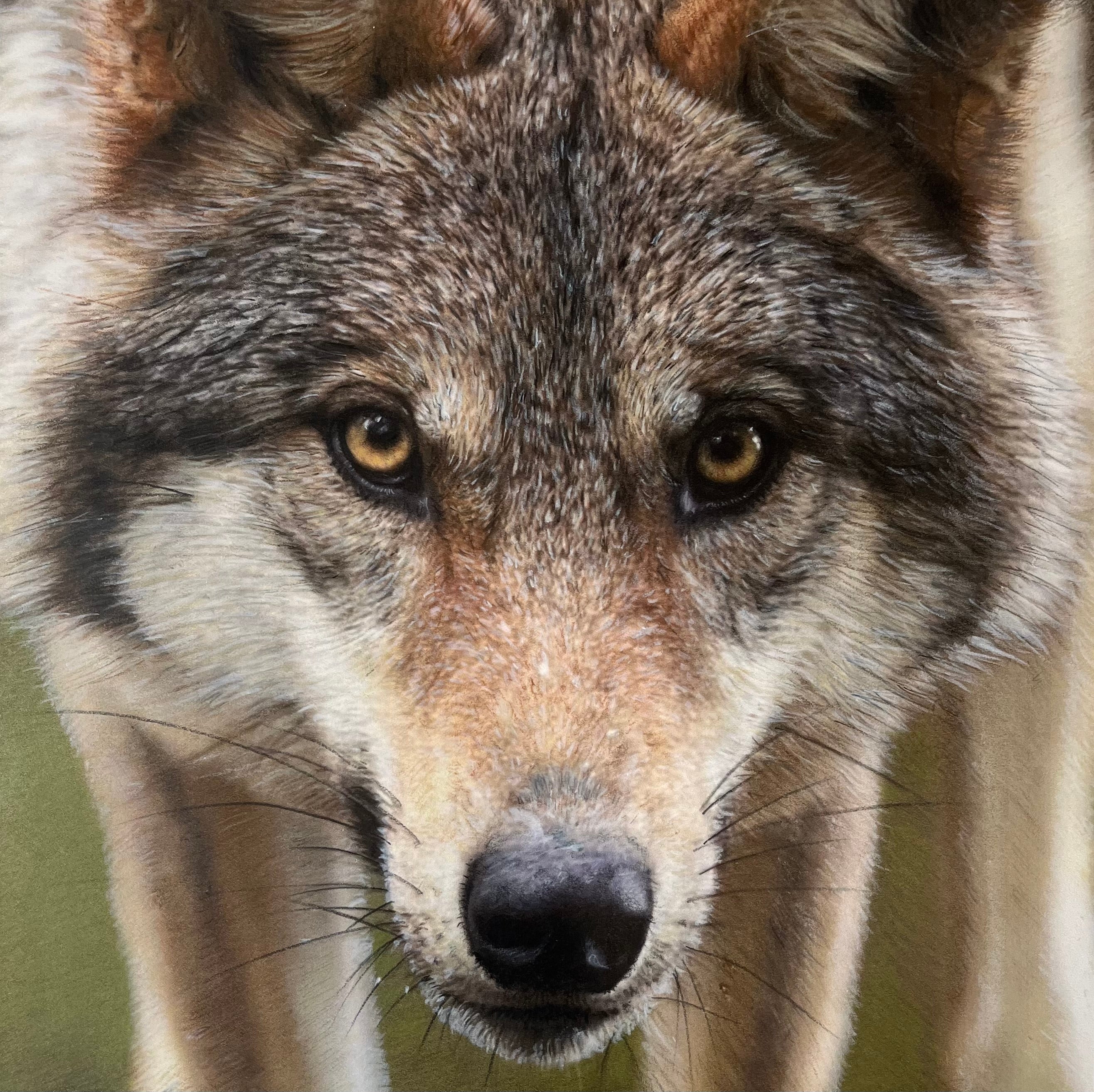 J.R. Hess - In The Shadows of Yellowstone – TRAILSIDE GALLERIES