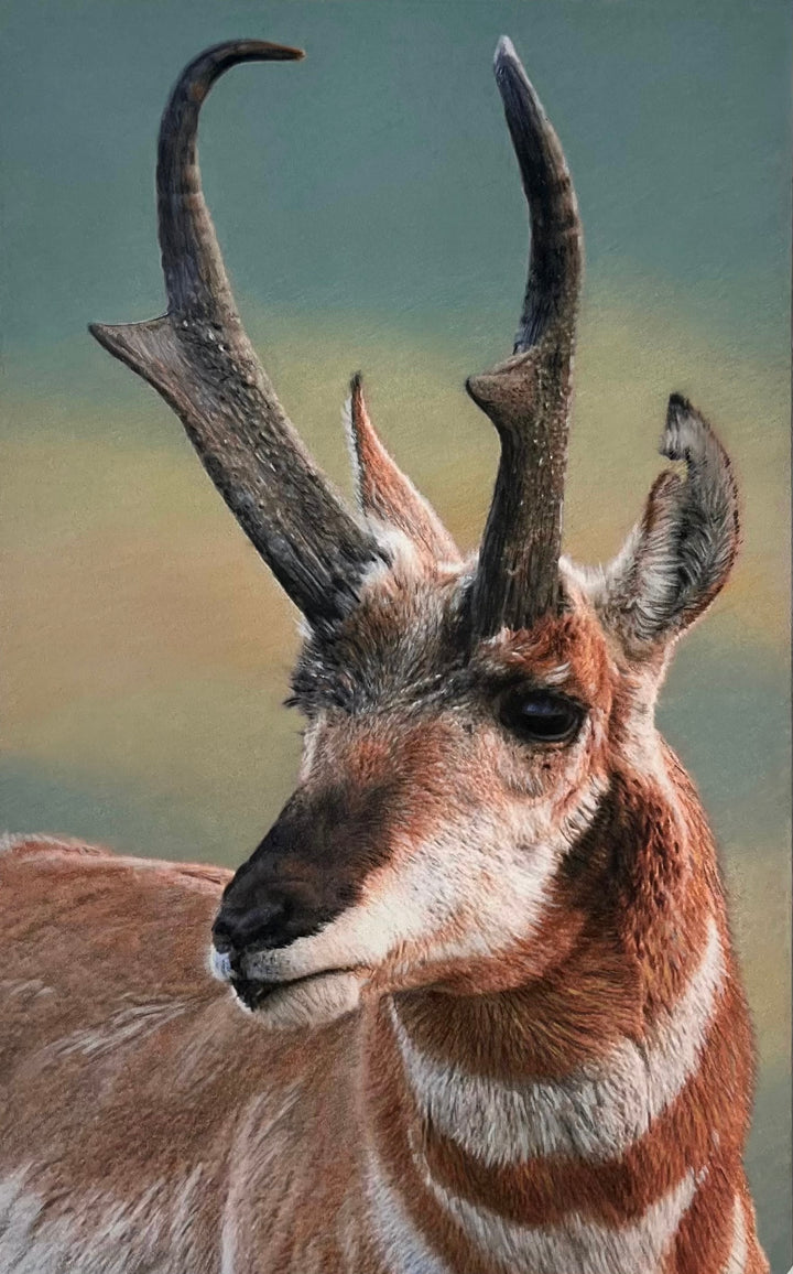 J.R. Hess – TRAILSIDE GALLERIES