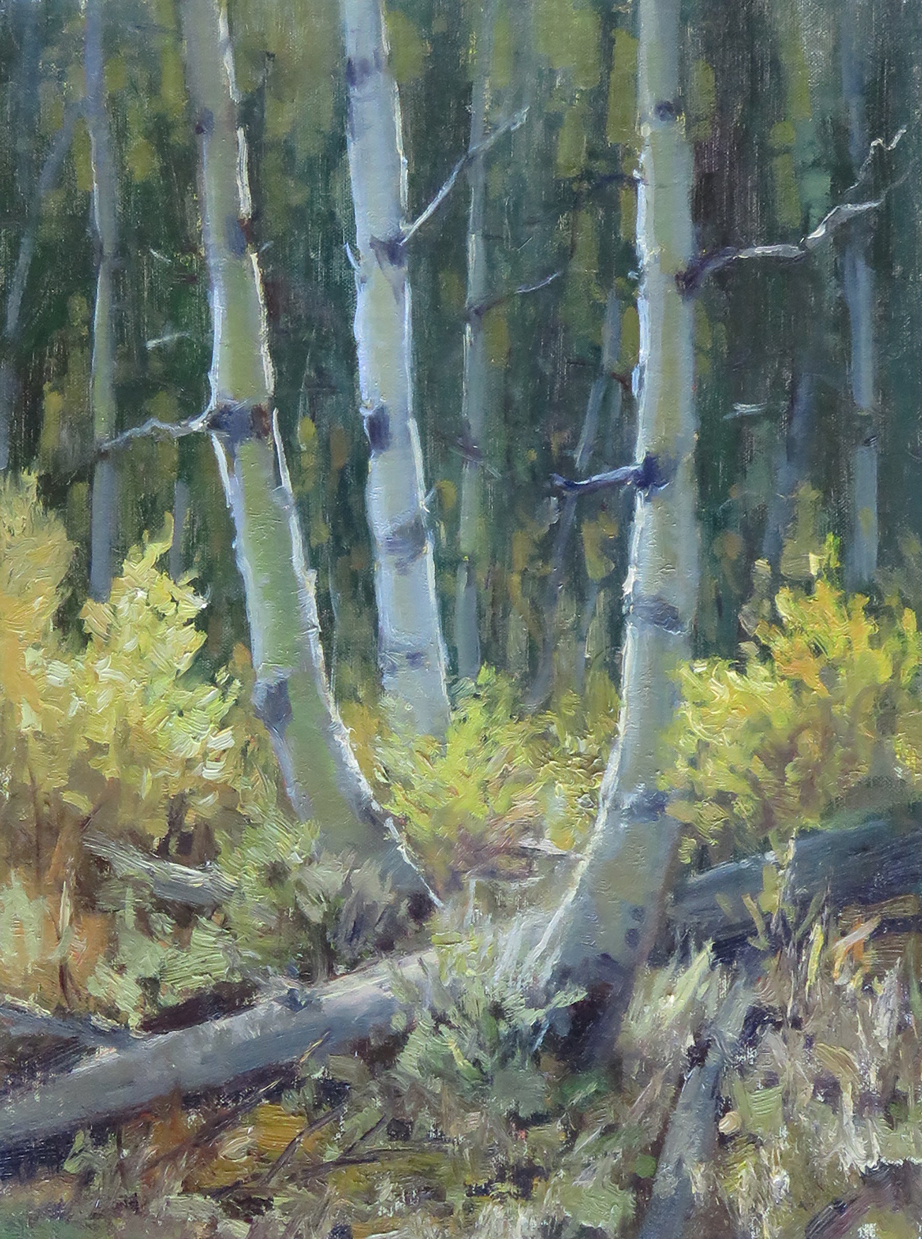 Kathleen Dunphy - Autumn Textures – TRAILSIDE GALLERIES